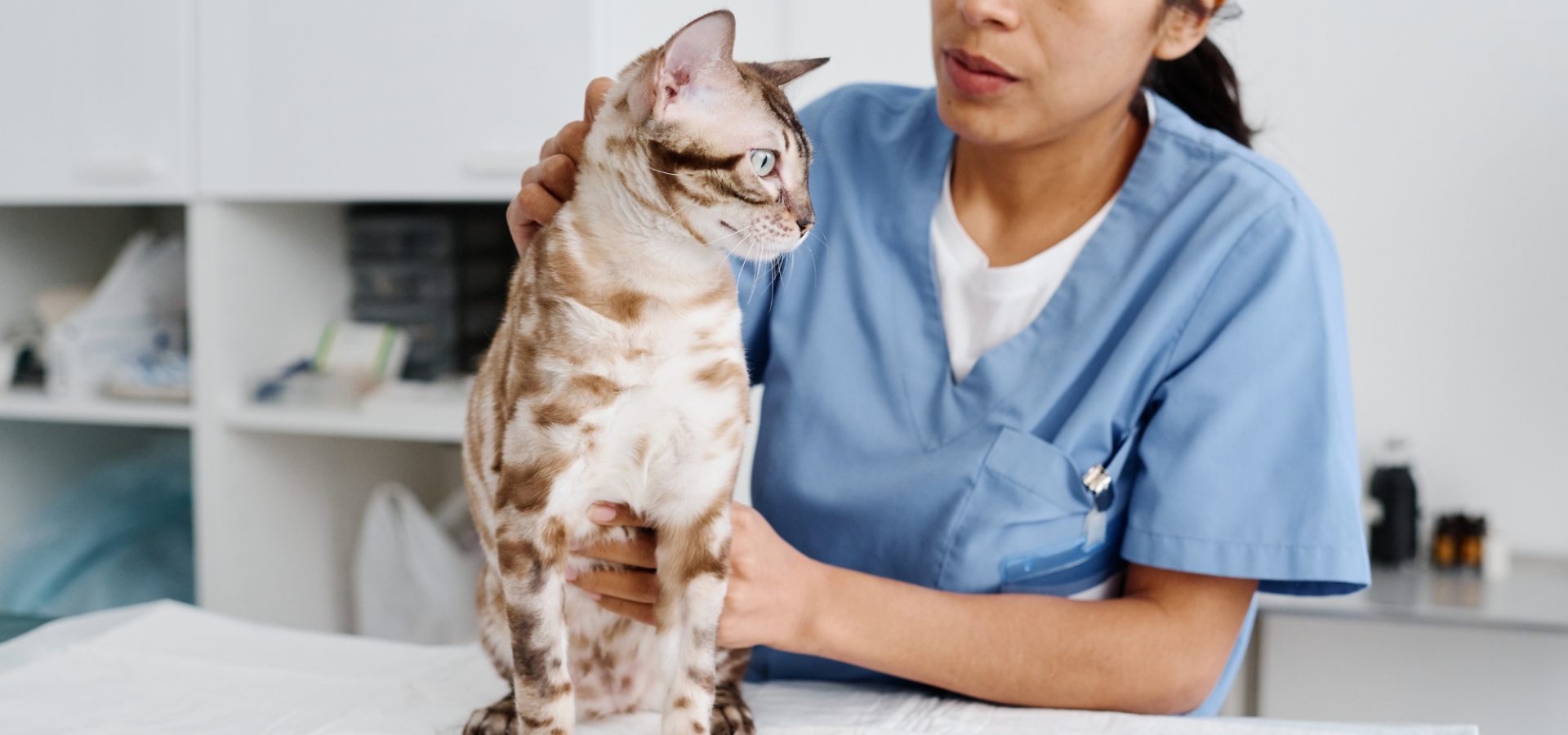 What To Expect During An Emergency | Burlington Emergency And ...