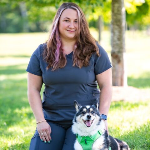Veterinarian In Williston, VT 05495 | BEVS