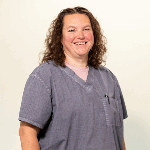 Veterinarian In Williston, VT 05495 | BEVS